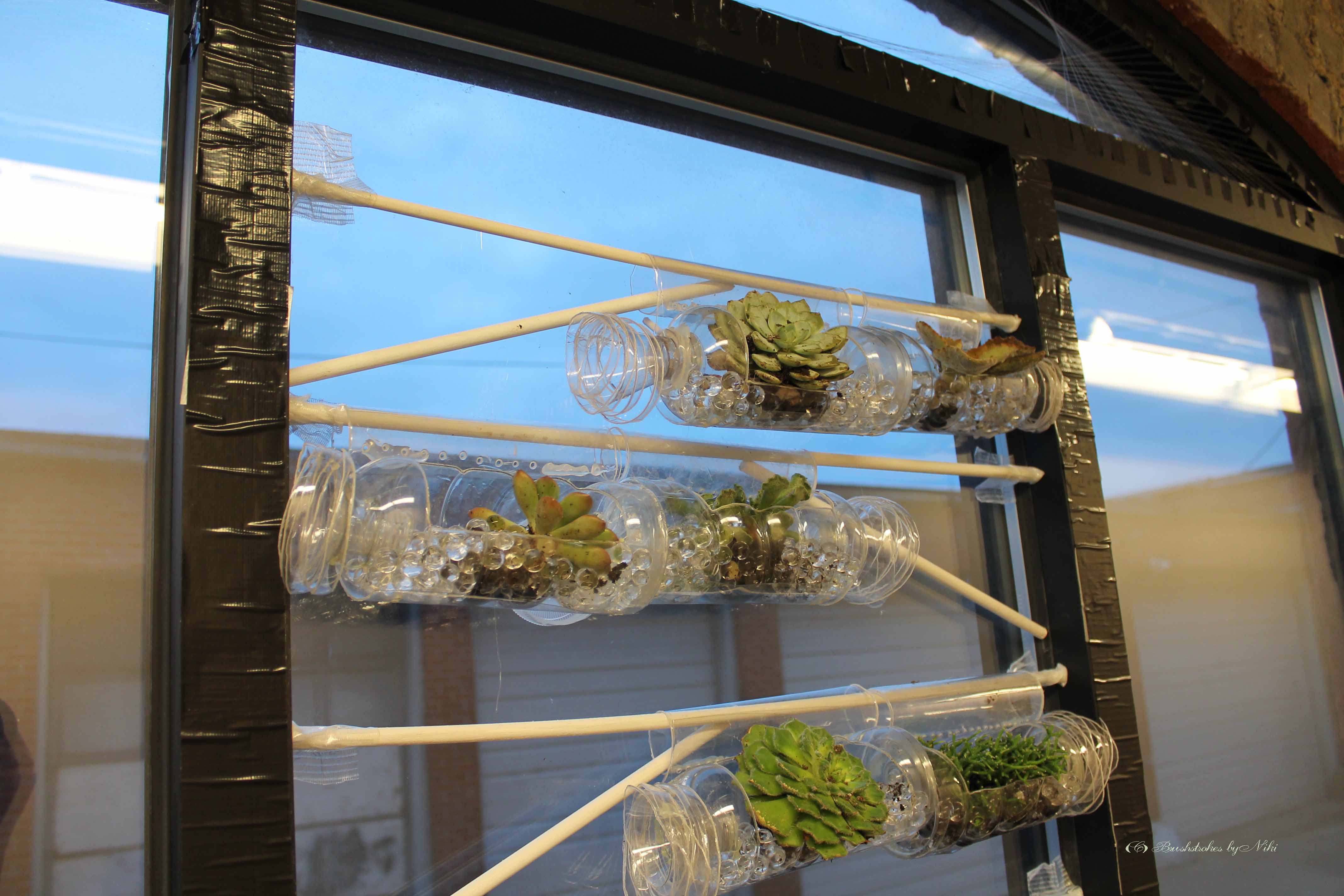 Plastic Bottle-Biosphere-Sculpture Installation for 3D Design – Niki's ...