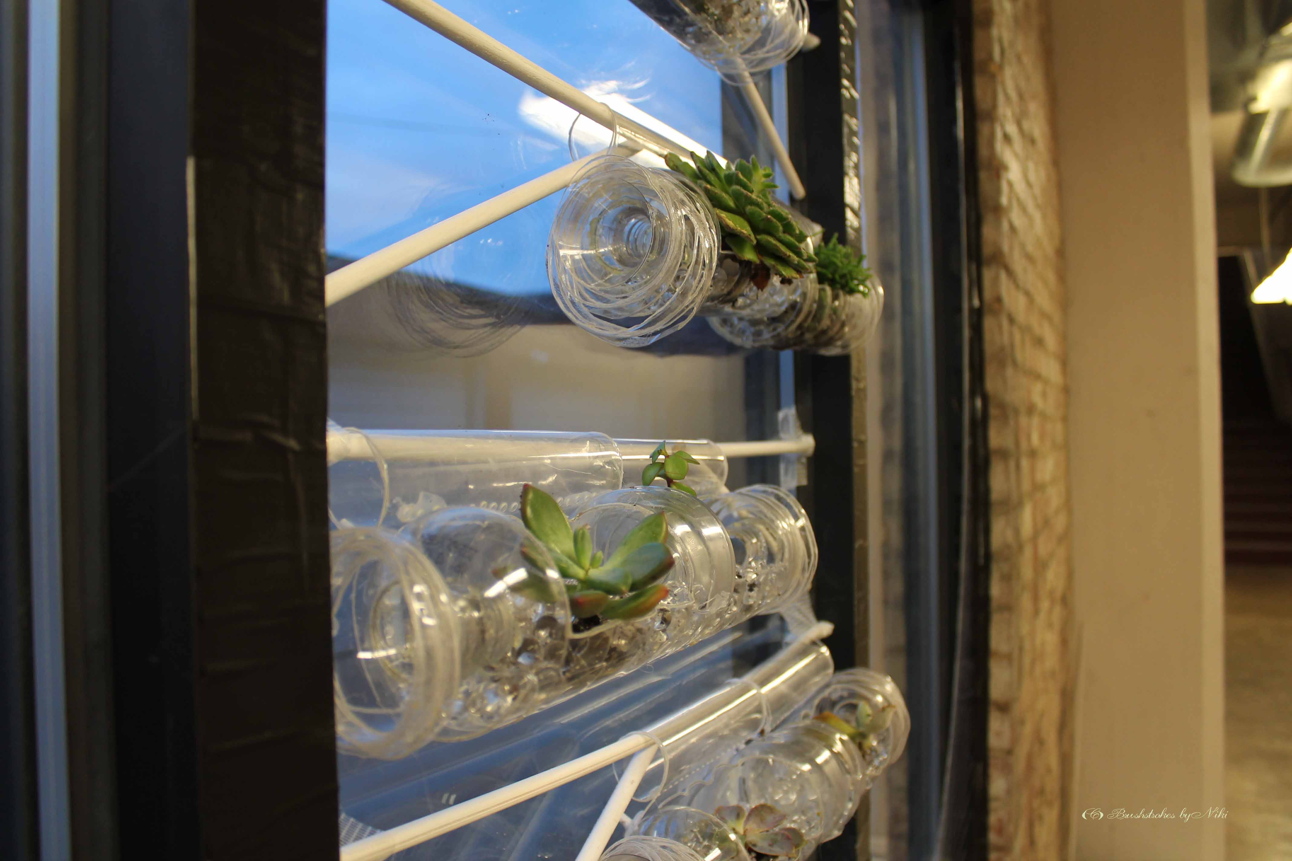 Plastic Bottle-Biosphere-Sculpture Installation for 3D Design – Niki's ...